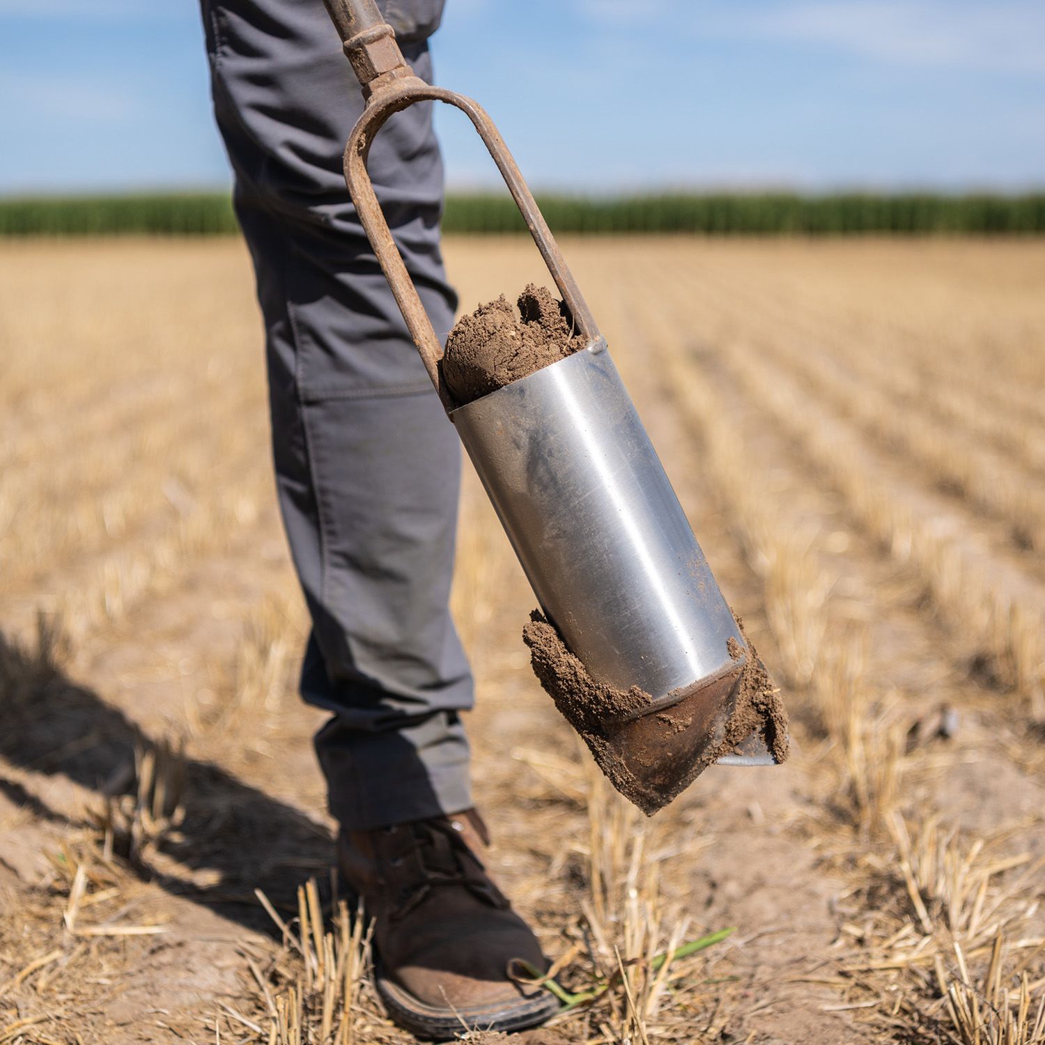 The next frontier in agriculture