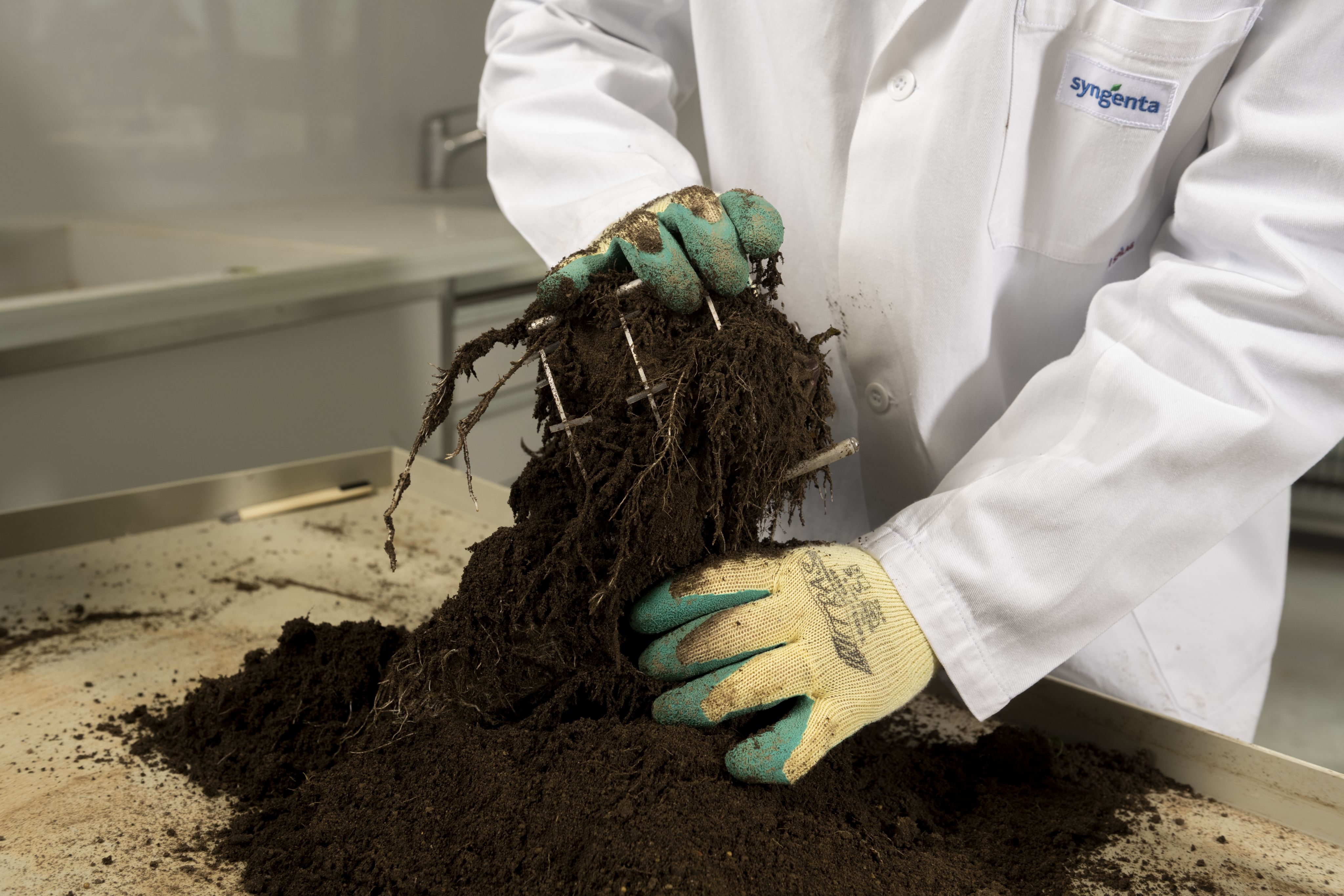 A holistic approach to unlocking soil science