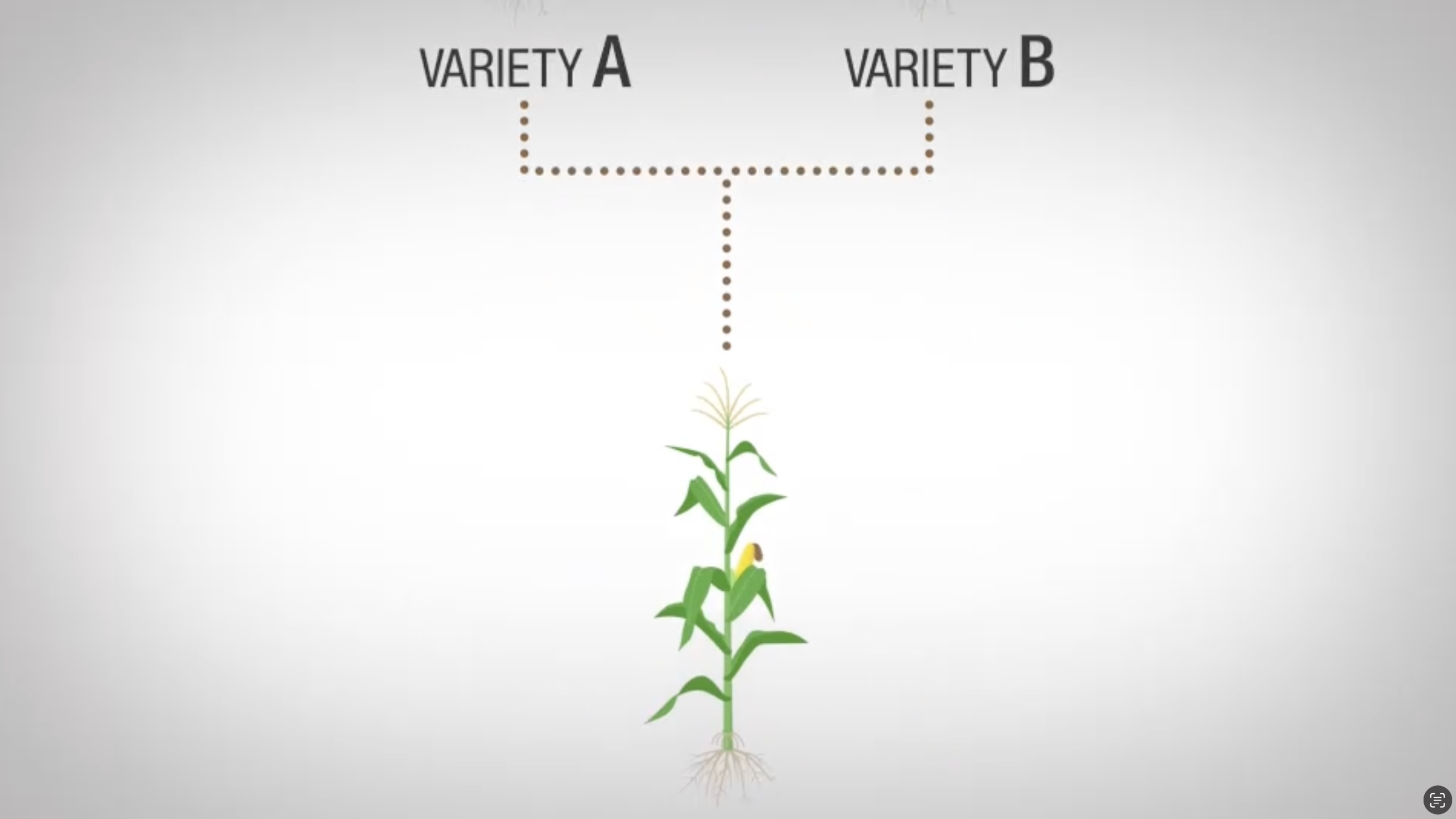 The HI-Edit breakthrough