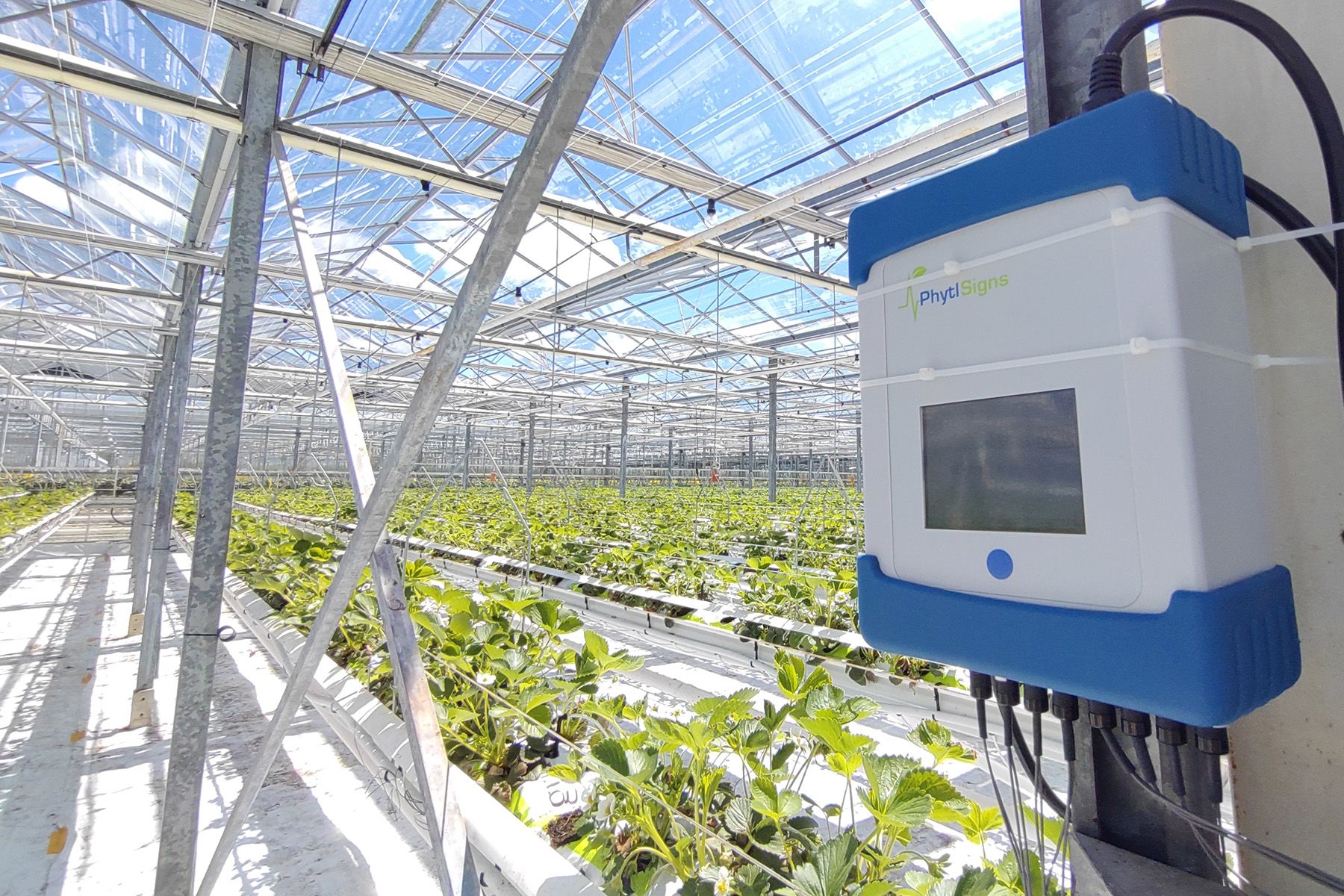 Protecting crops at risk of parasitic nematodes