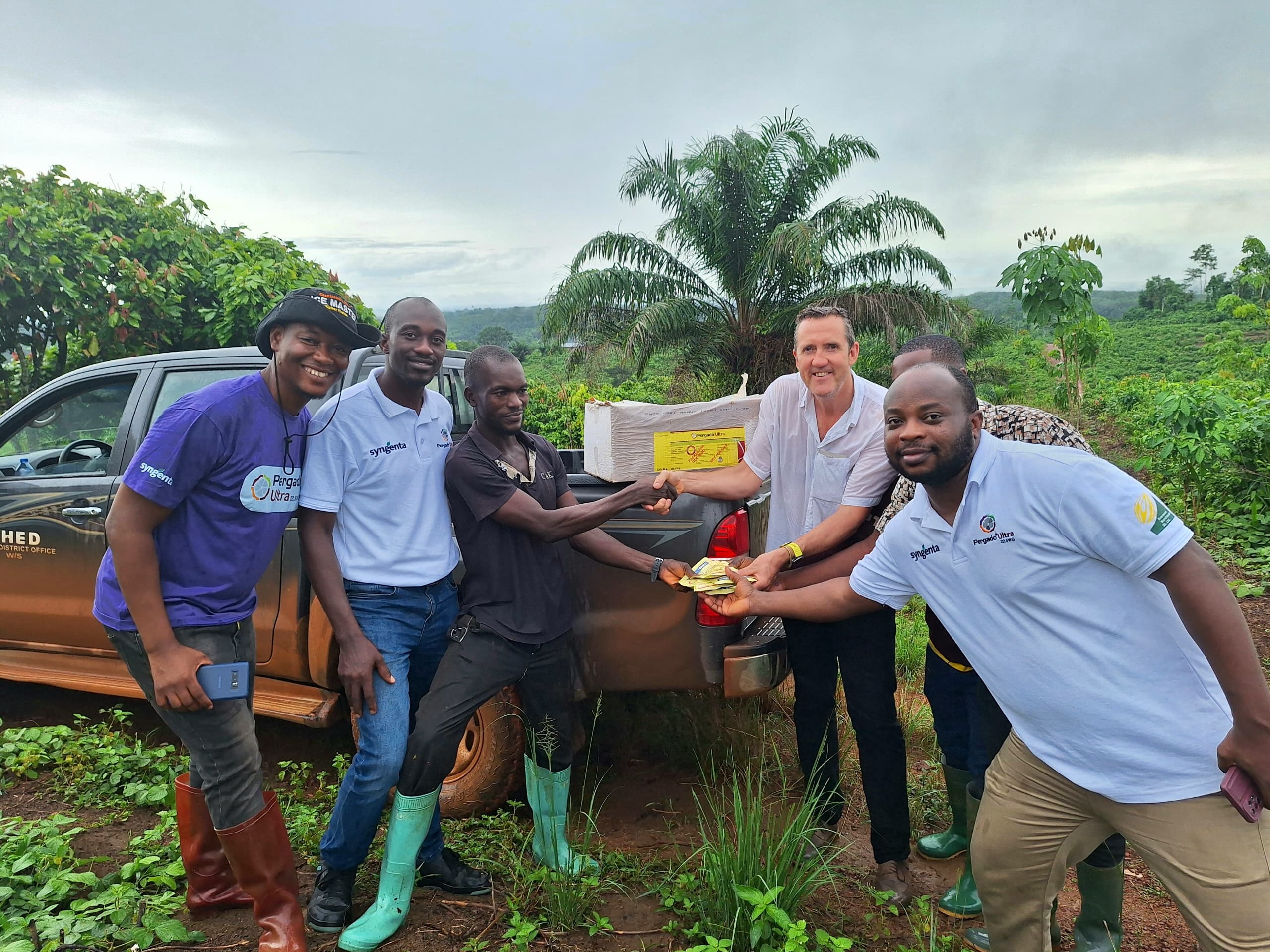 Serious disease and pest pressures causing cocoa shortage | Syngenta