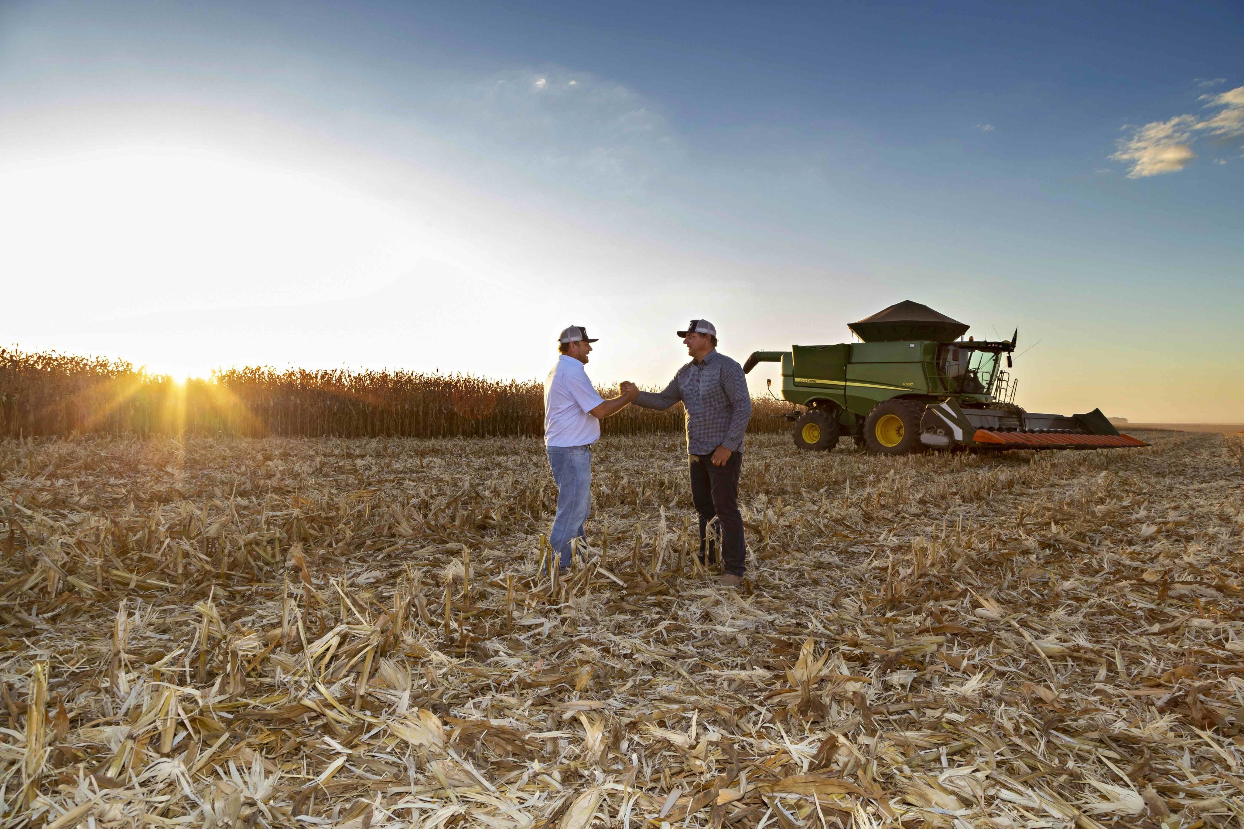 Powering breakthrough innovation in corn