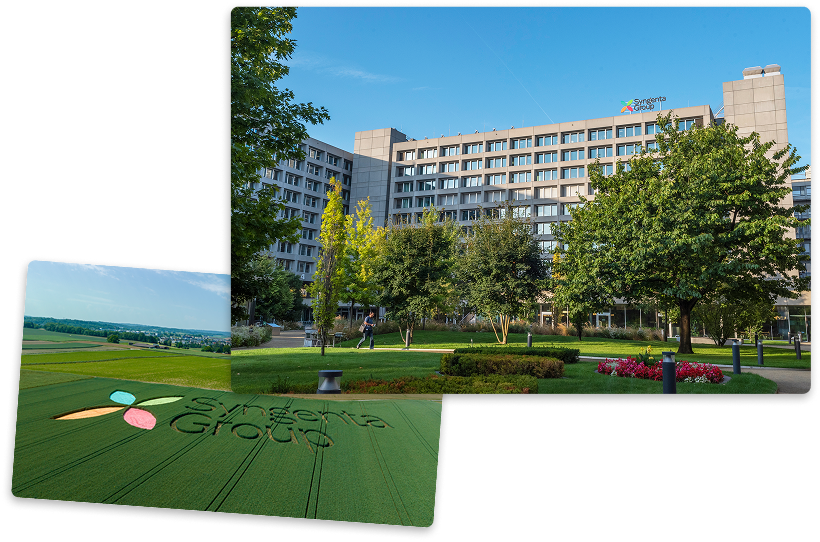 Our History | Syngenta
