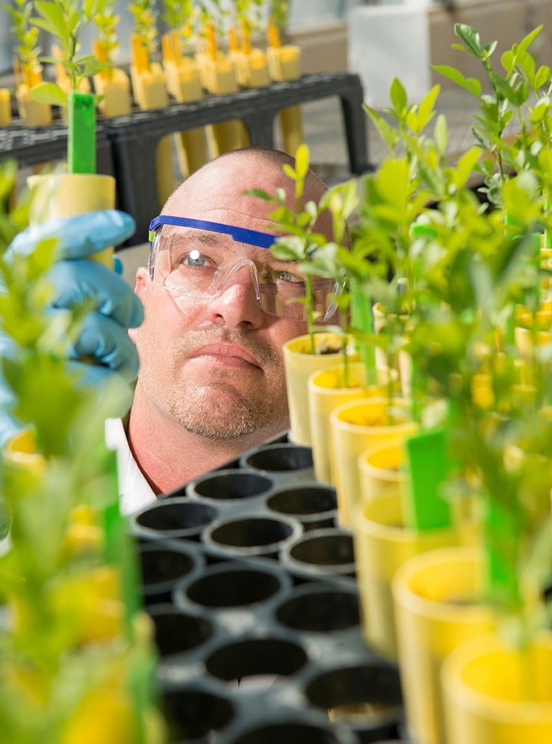 Breakthrough innovation takes root in the Americas