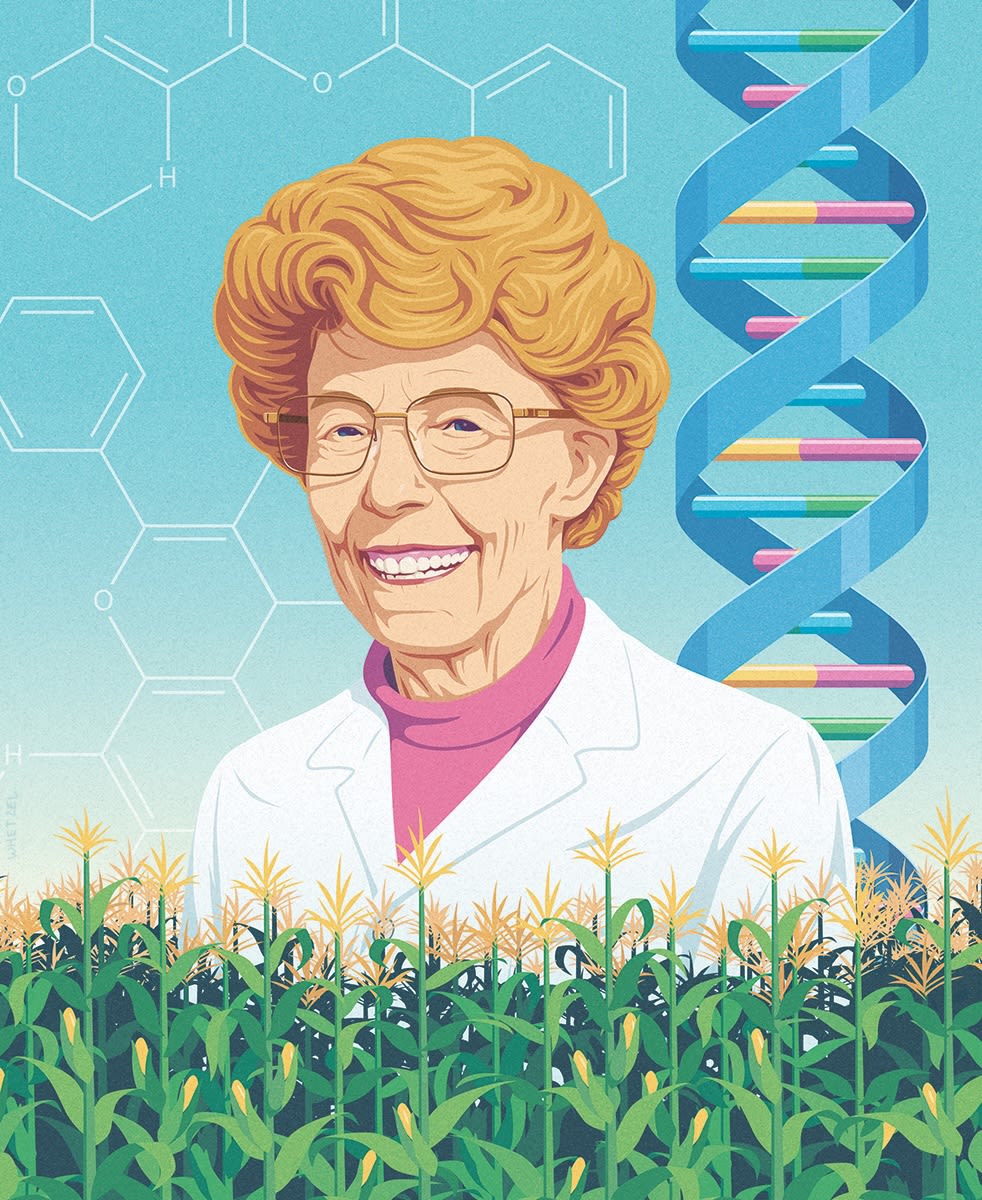 The amazing Agrobacterium | Syngenta