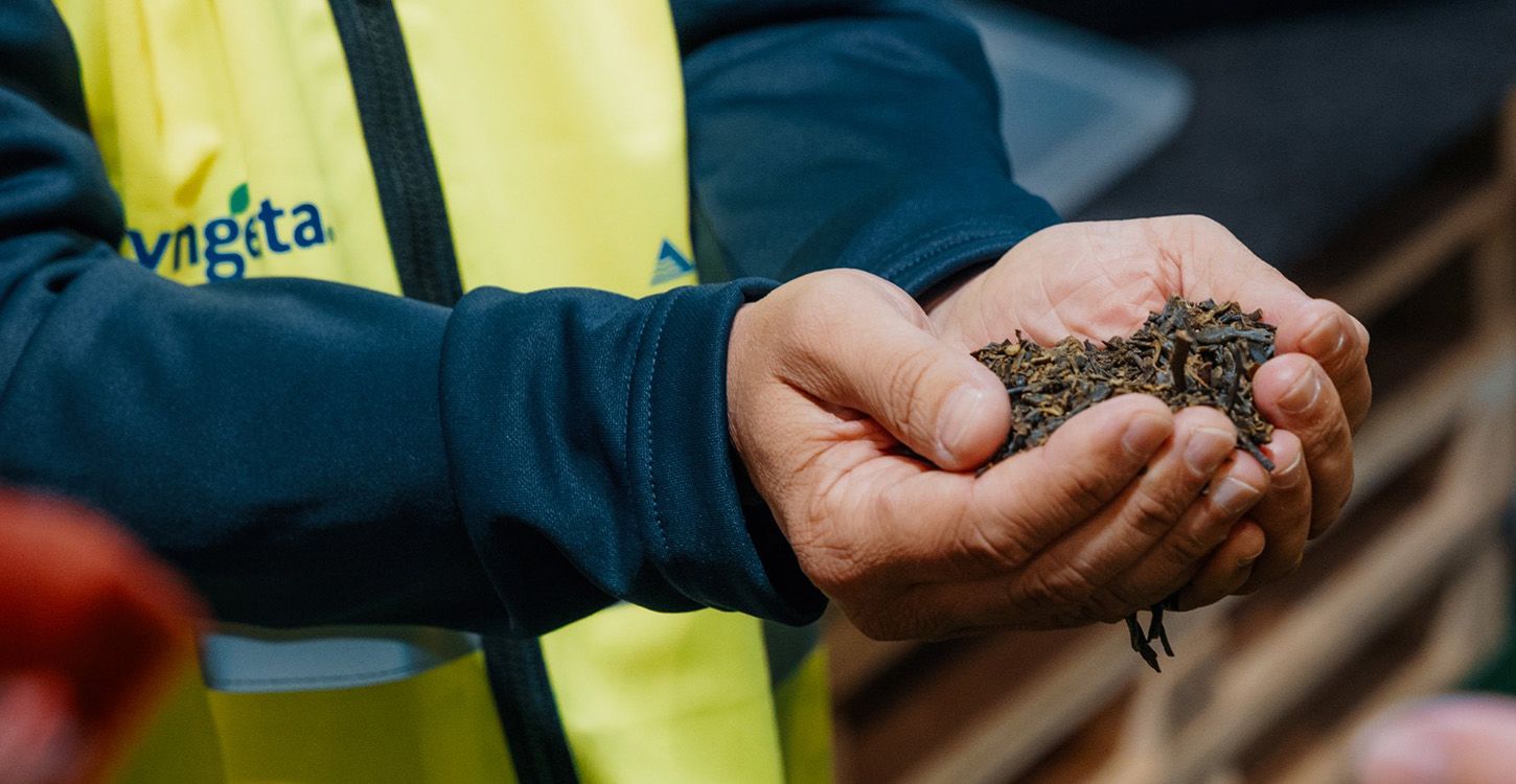 From fjord to farm | Syngenta