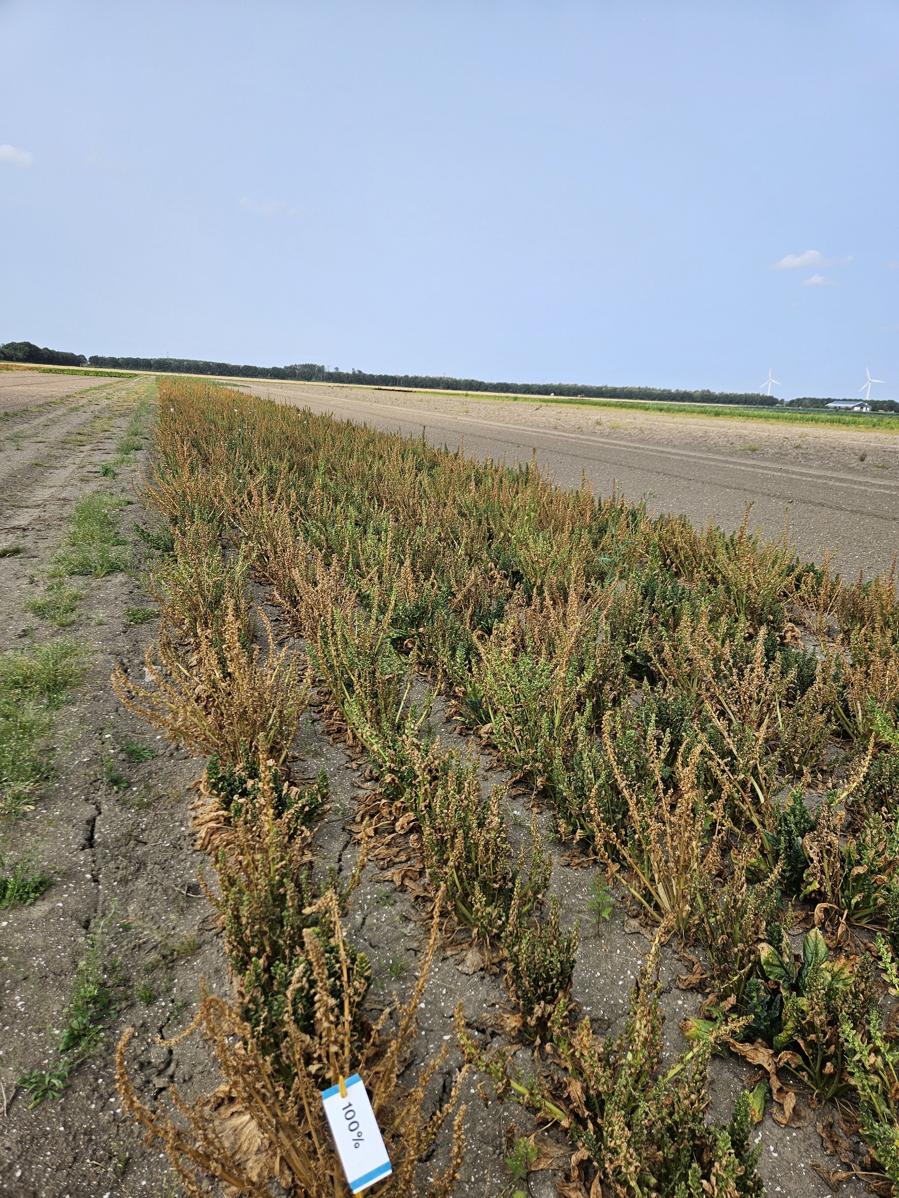 Working together for sustainable seed production