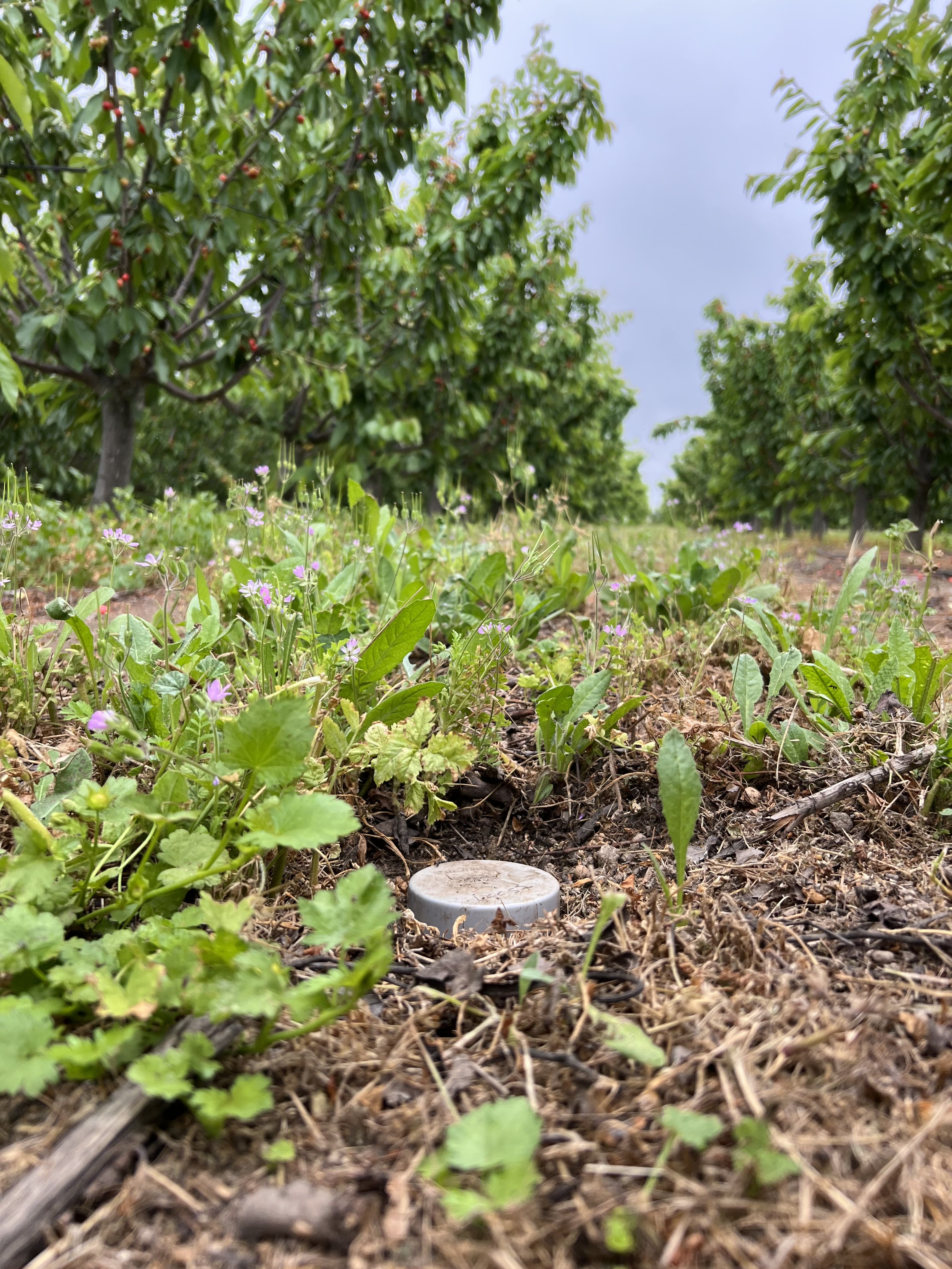 LivinGro®: define sustainable farming