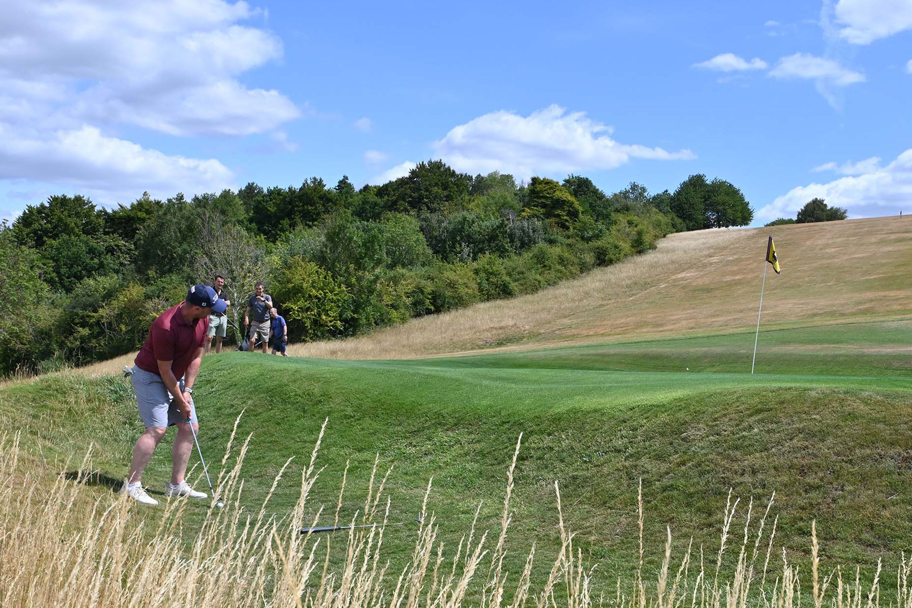 How innovation powers biodiversity on golf courses | Syngenta