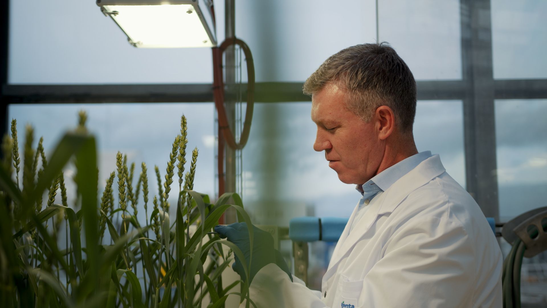 Plants Tour: The journey from molecule to field | Syngenta