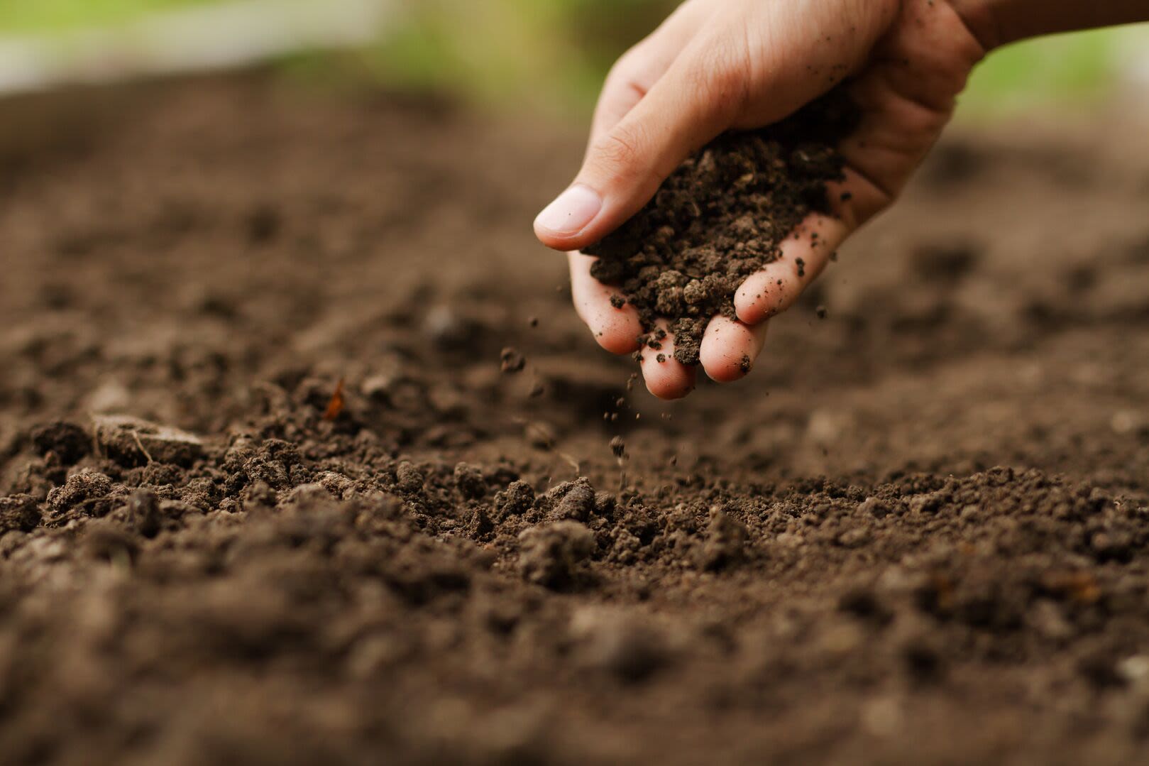 Embedding regenerative agriculture practices to seed production sites
