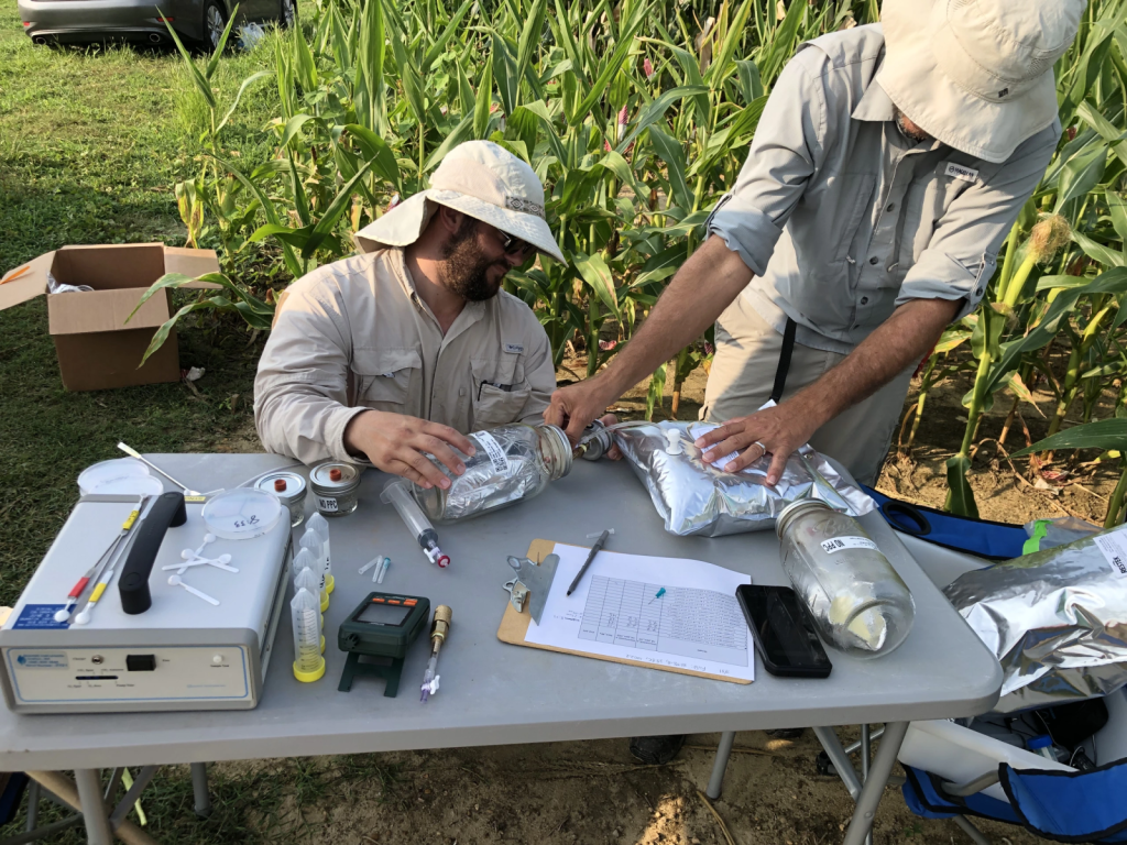 Sustainable solutions for storing maize pollen? Solved at Syngenta